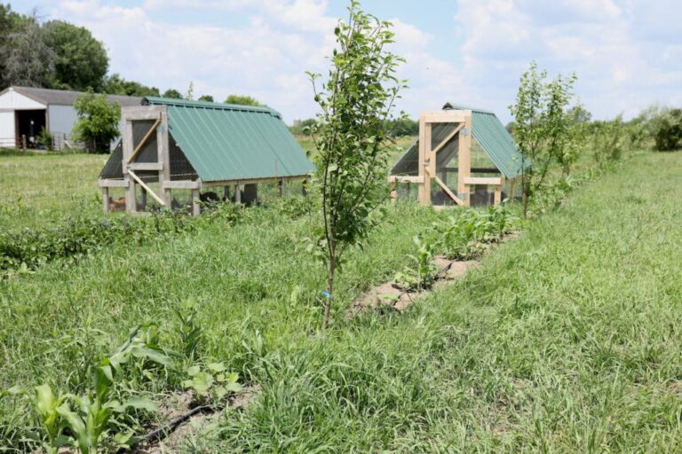 Energy-Efficient Kitchen Ideas for Homesteaders - 15 Acre Homestead