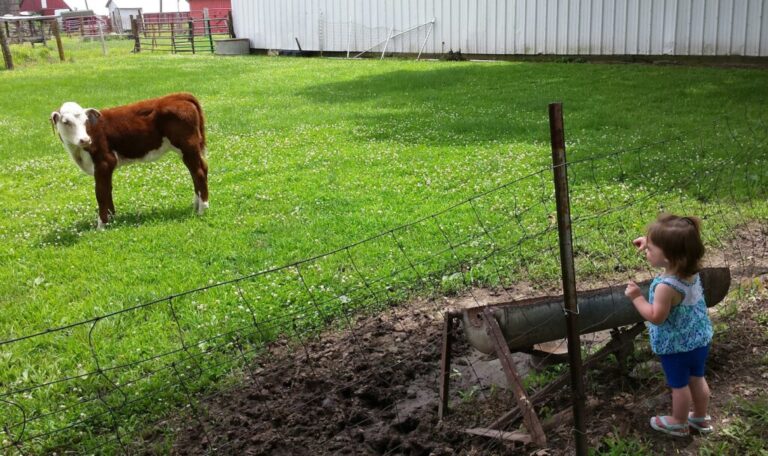 Modern Homesteading Bartering Ideas Guide – 15 Acre Homestead