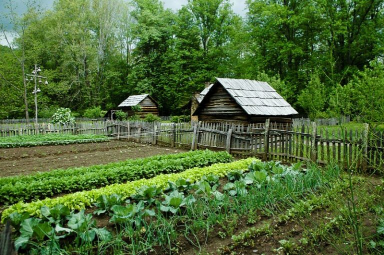 Modern Homesteading DIY Projects Guide – 15 Acre Homestead