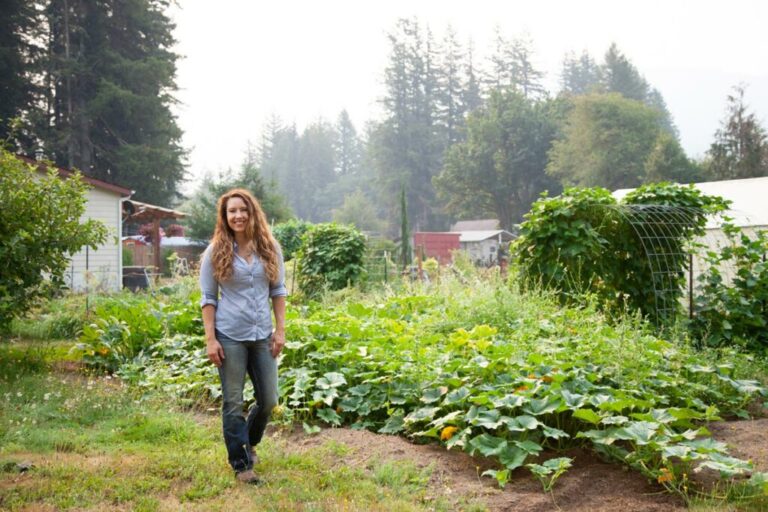 Renewable Energy for Homesteading: Solar, Wind, and Water – 15 Acre ...